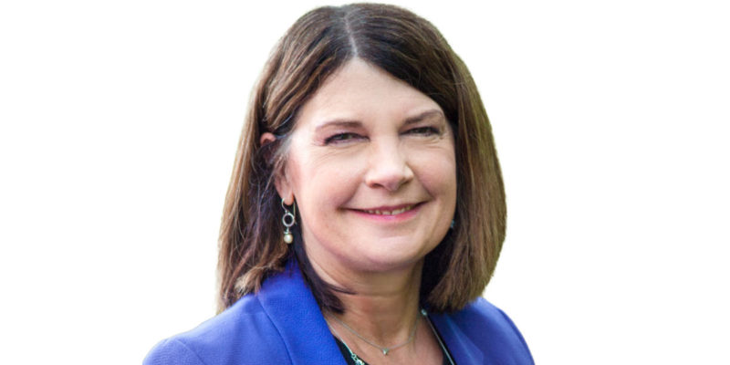 Drawing on Dynamism | Business Officer Magazine